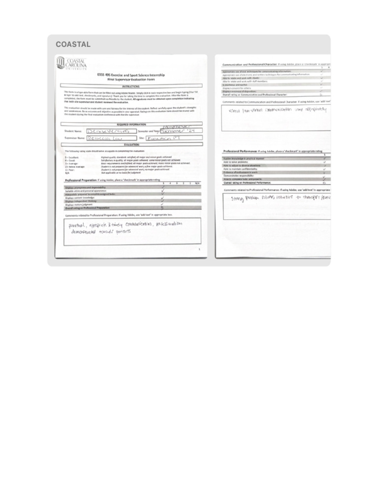 Final Internship Eval | PDF