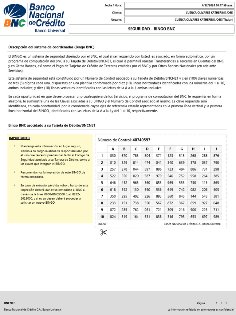 Rptbingobnc Katherine Cuenca | PDF | Tarjeta de débito | Informática