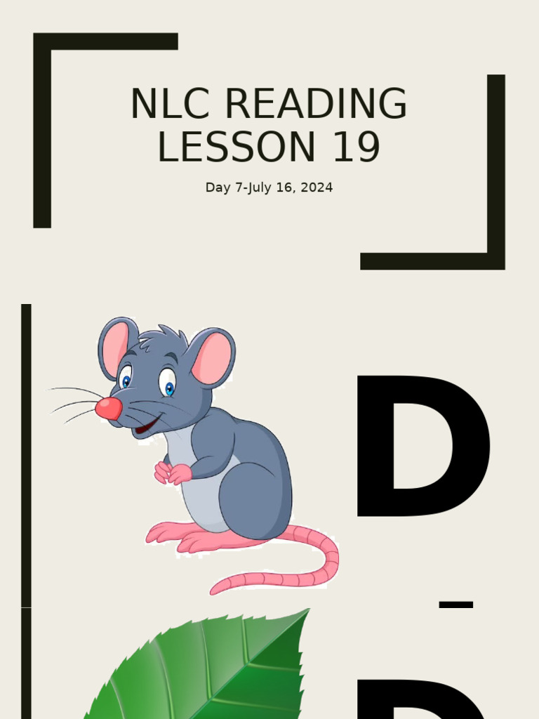 Early Literacy Practice | PDF