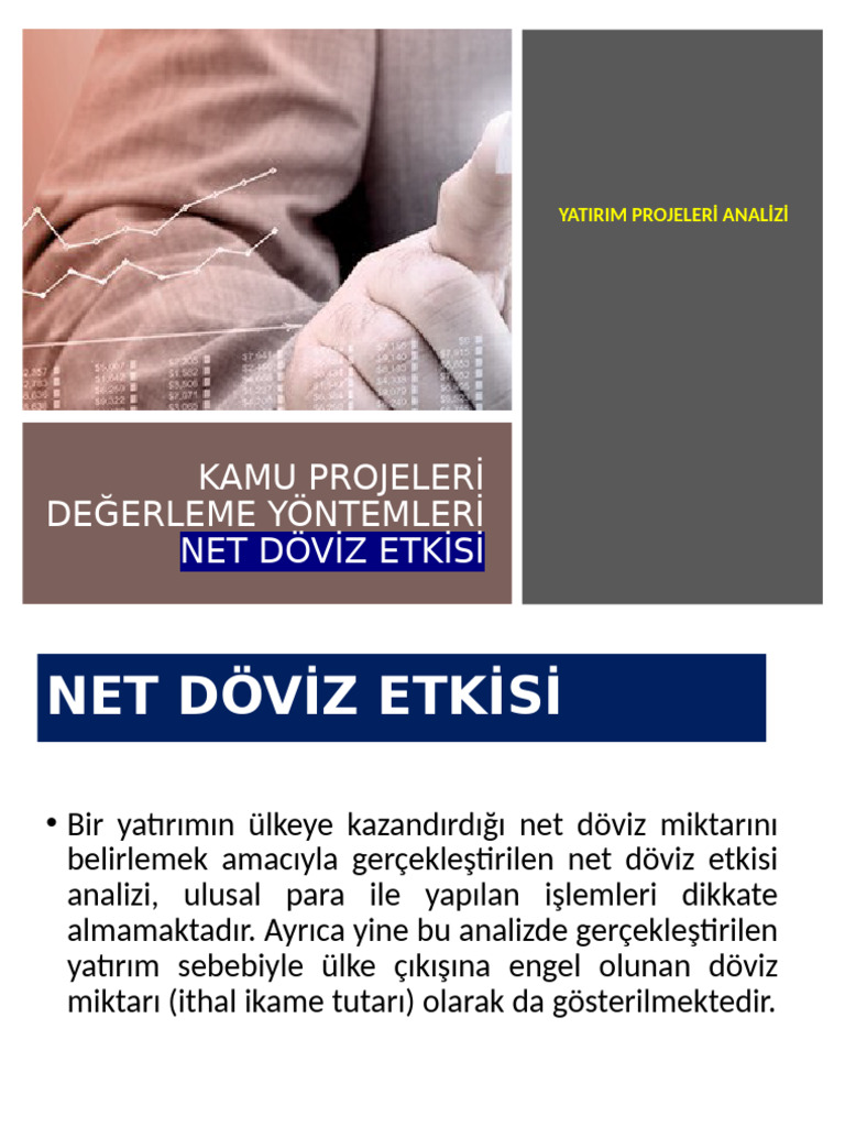 Net Döviz Etkisi | PDF