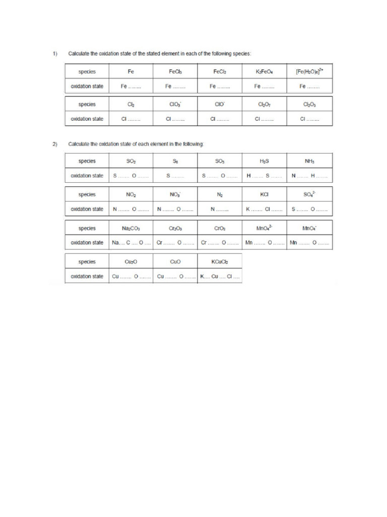 Week 13 10th Grade Homework | PDF