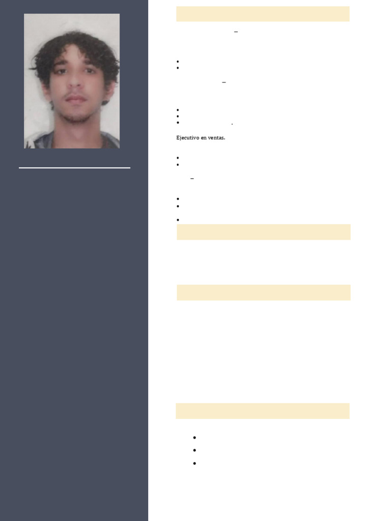 Curriculum Manuel Ramirez | PDF