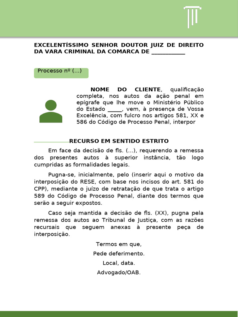 Modelo Editavel Rese Atual | PDF | Advogado | Direito Público