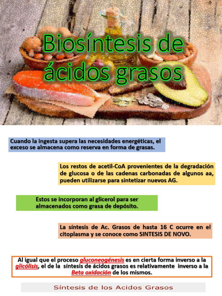 Biosintesis de Cidos Grasos | PDF | Ácido graso | Biosíntesis