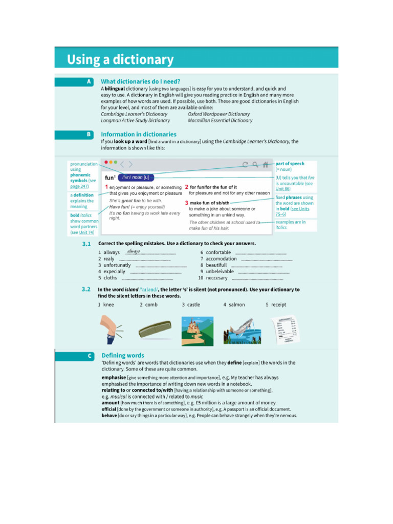 Use A Dictionary | PDF