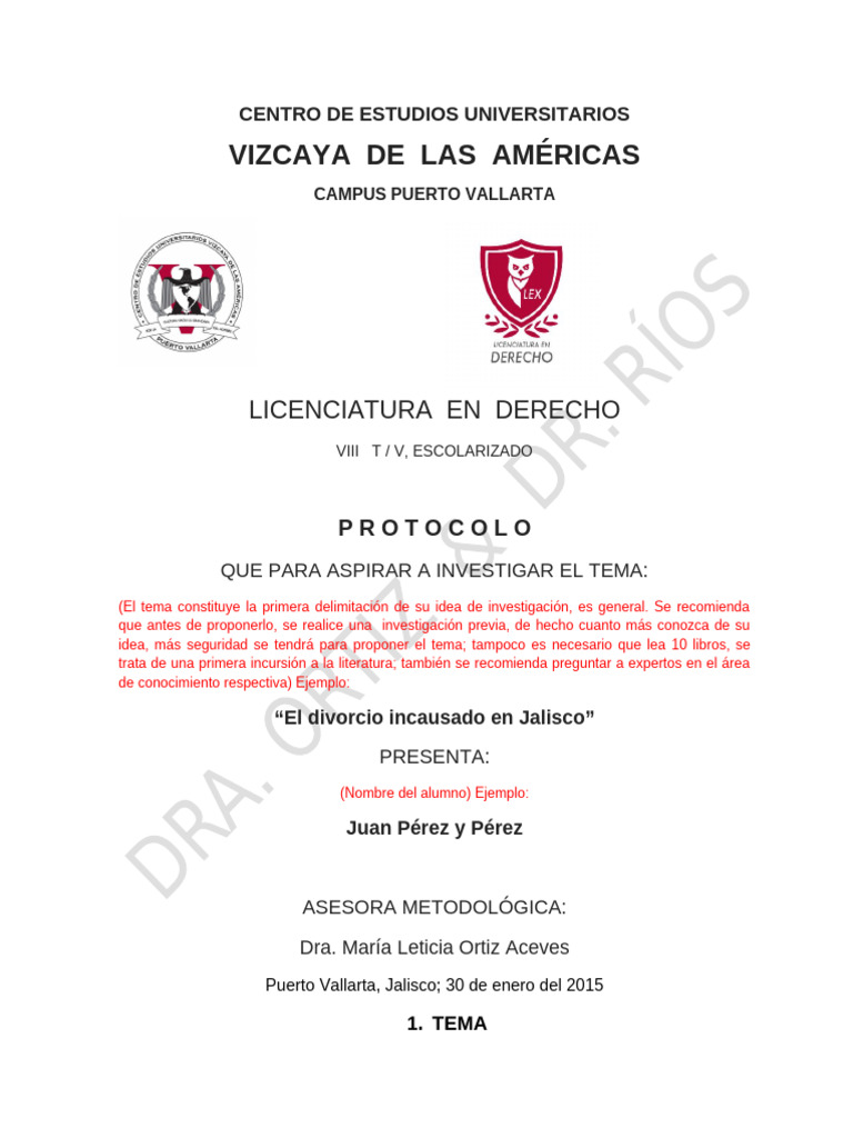 Guía de Prot - Derecho - Actualizado - May-2017 | PDF | Divorcio | Libertad