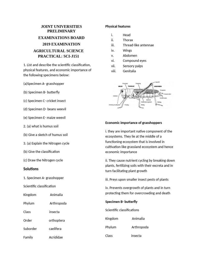 agric practical | PDF | Insects | Soil