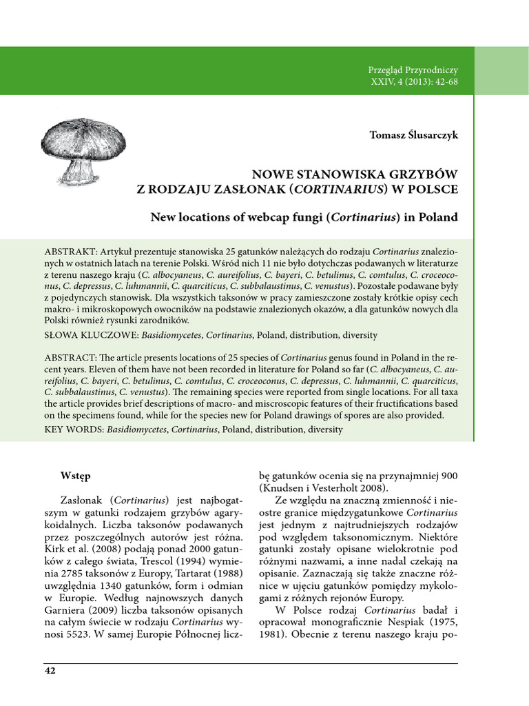 PP XXIV Slusarczyk | PDF