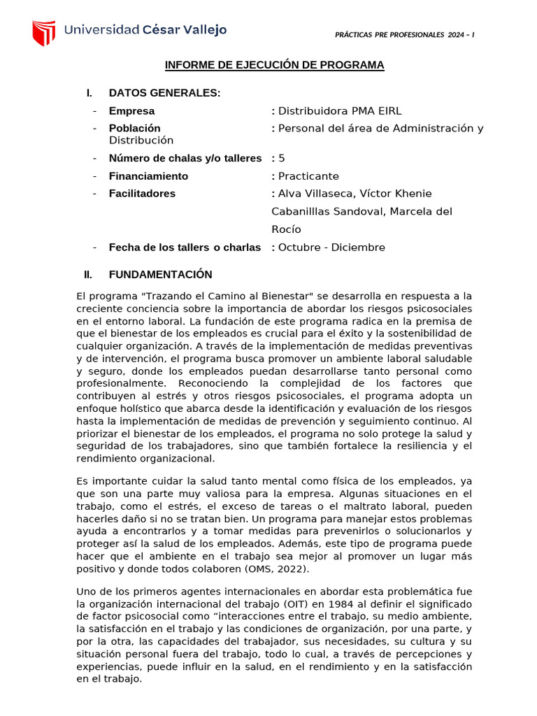 Informe de Ejecución PROGRAMA SALUD OCUPACIONAL N°3 | PDF | Estrés (biología) | Business