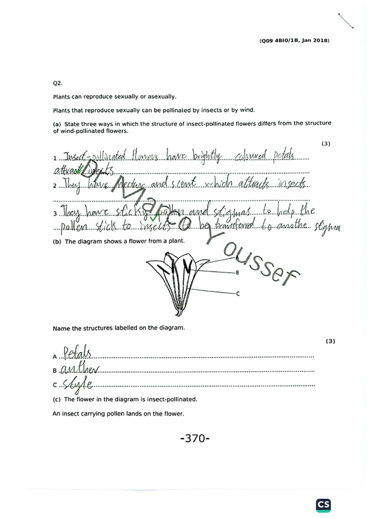 J25 Ed Ol 6 HW 11 Marked | PDF
