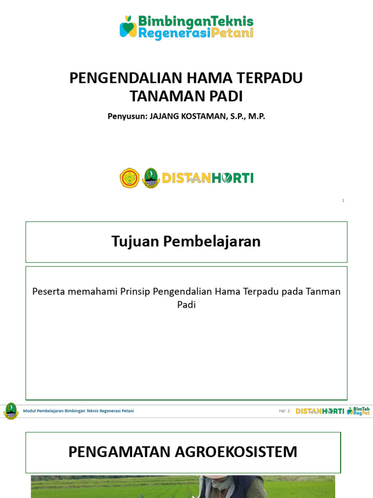 PHT Tanaman Padi 1 | PDF