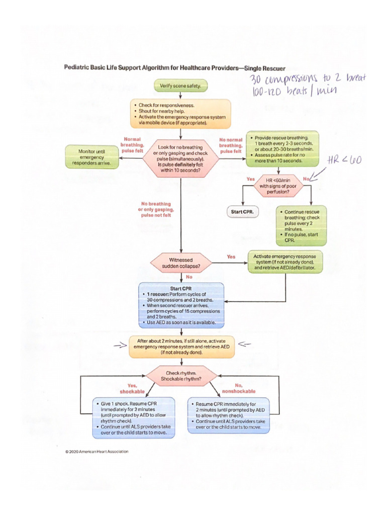 2021 BLS Notes | PDF