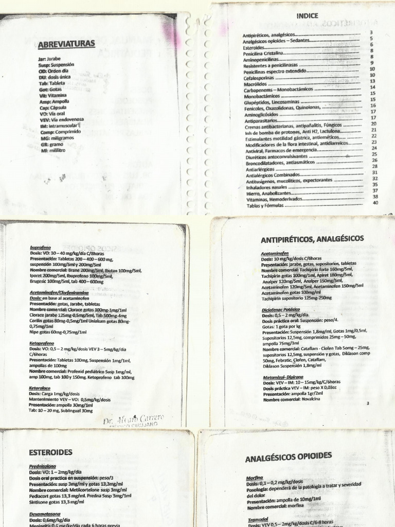 Blohm Completo | PDF