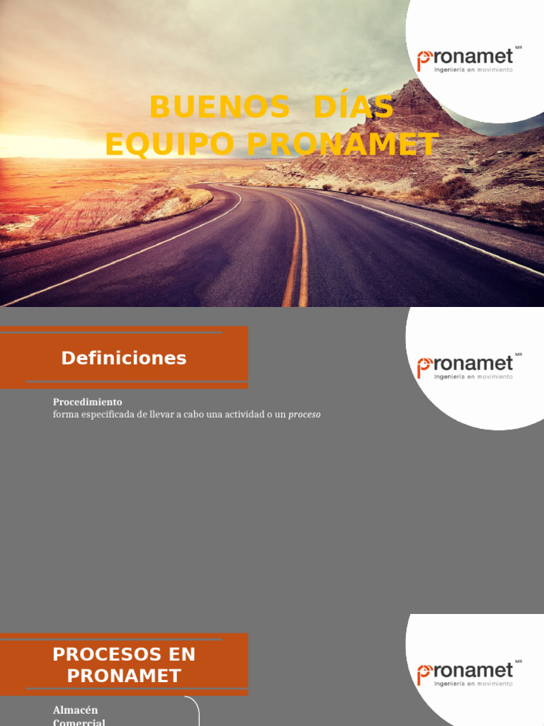 Procesos y Procedimientos en PRONAMET | PDF | Ingeniería