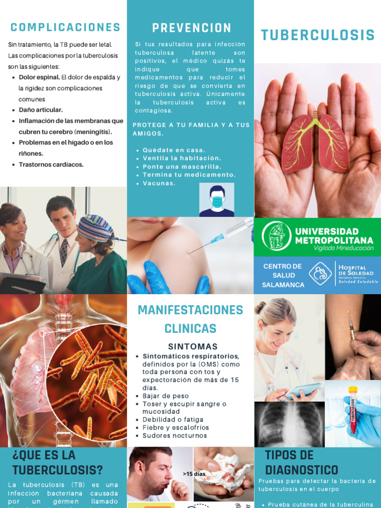 Folletos Tuberculosis | PDF | Tuberculosis | Tos