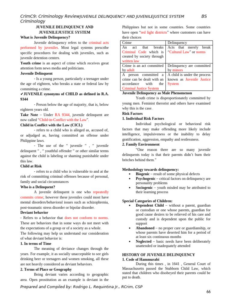 Juvenile Delinquency and Juvenile Justice System Student Manual | PDF ...
