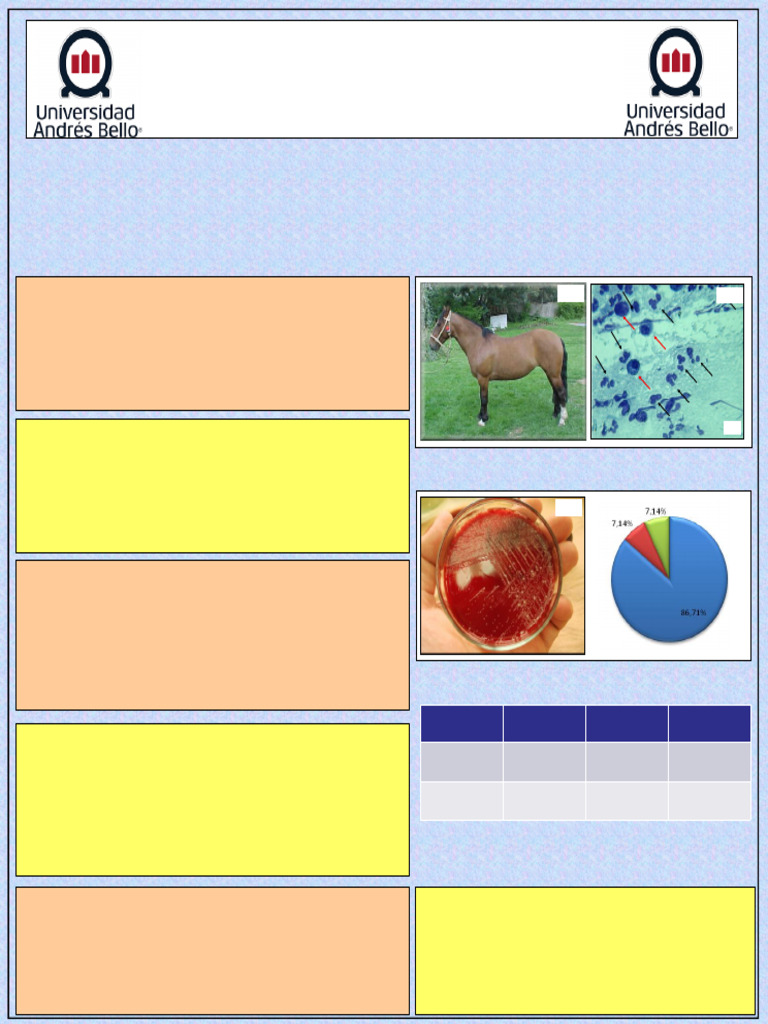 Formato Infografía | PDF