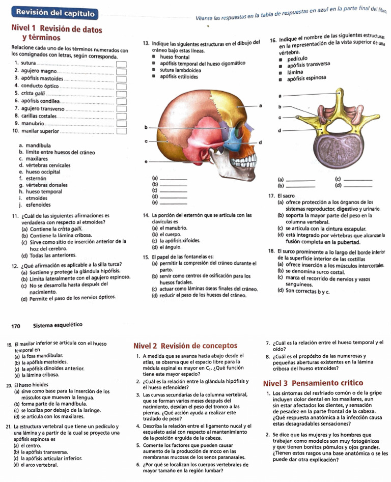 Libro 21 Nov 2024 | PDF | Cráneo | La columna vertebral