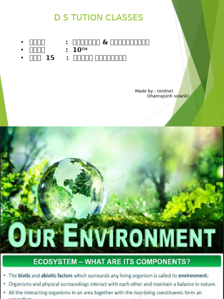 STD 10 Chap 15 Our Environment | PDF