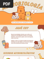 Bondiola Al Trapo | PDF