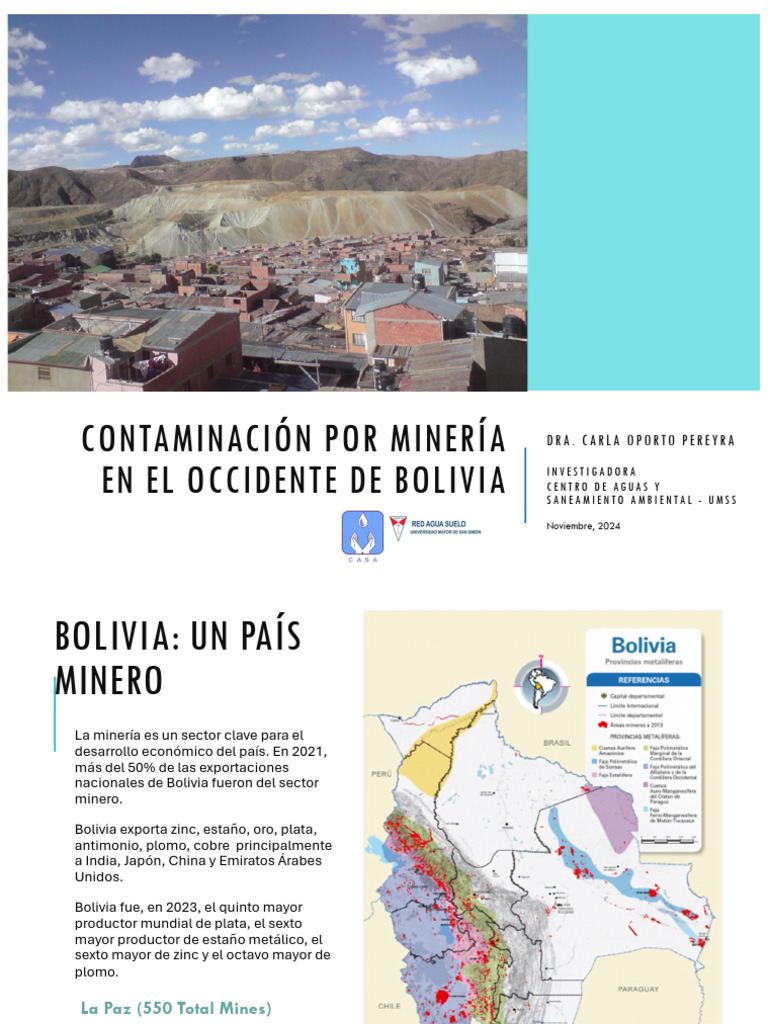 S10 001 LP Contaminacion Minera Carla Oporto | PDF | Minería | Agua