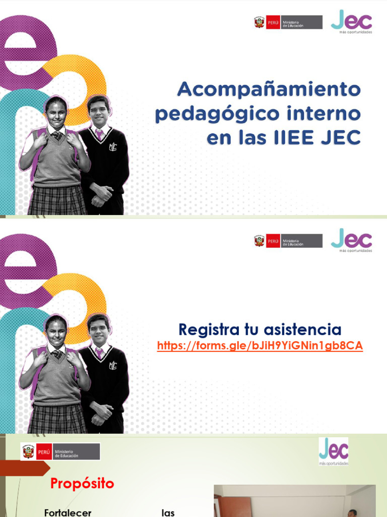 Acompa Amiento Pedag Gico Interno | PDF