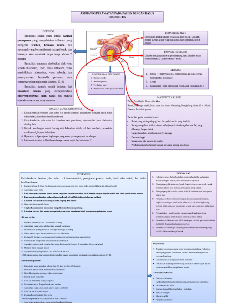 Maind Map Bronchitis | PDF