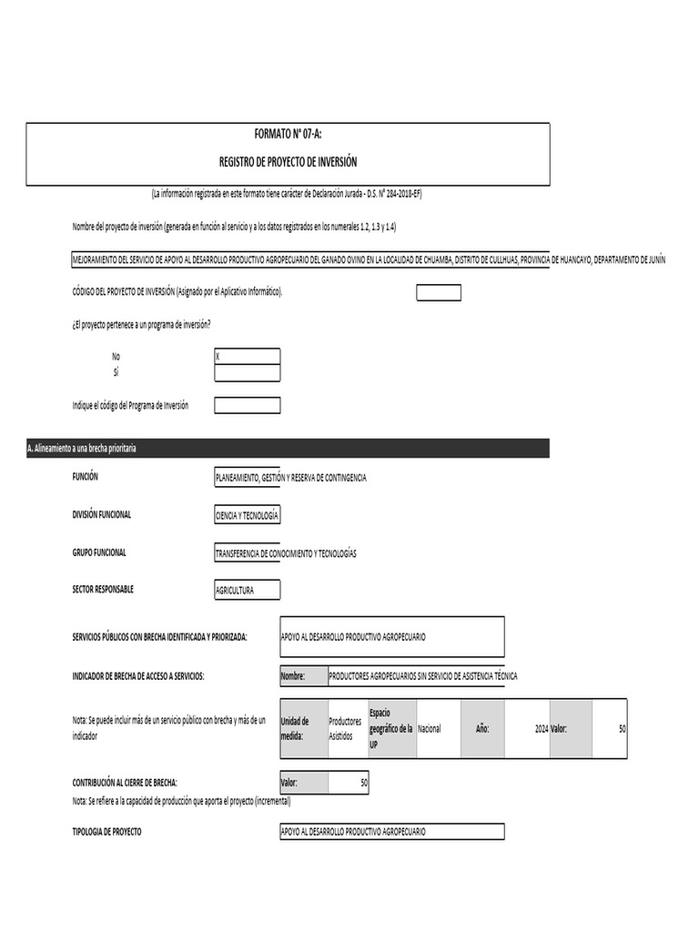 Formato 7A | PDF | Asociación público-privada | Economias
