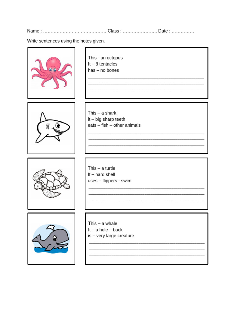 Task Sheet | PDF