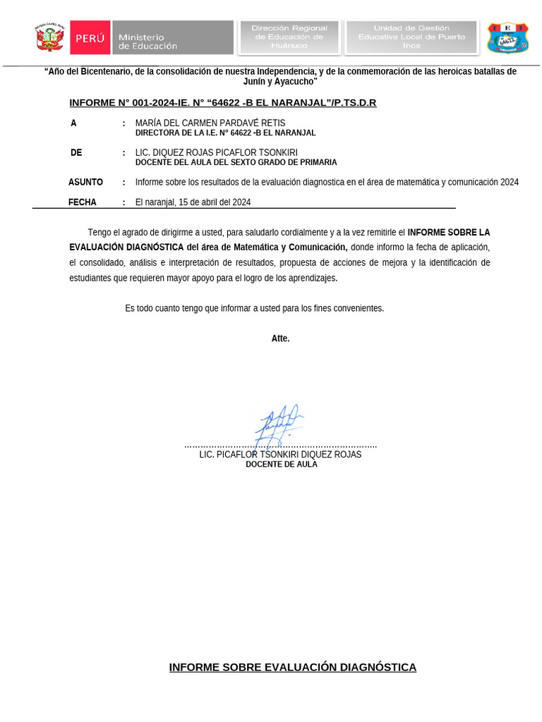 Informe de Evaluacion Diagnostica 2024 | PDF | Evaluación | Aprendizaje