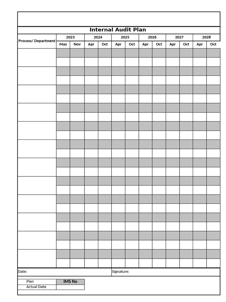 Internal Audit Plan | PDF