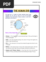 Class 10 Human Eye Notes PDF | PDF
