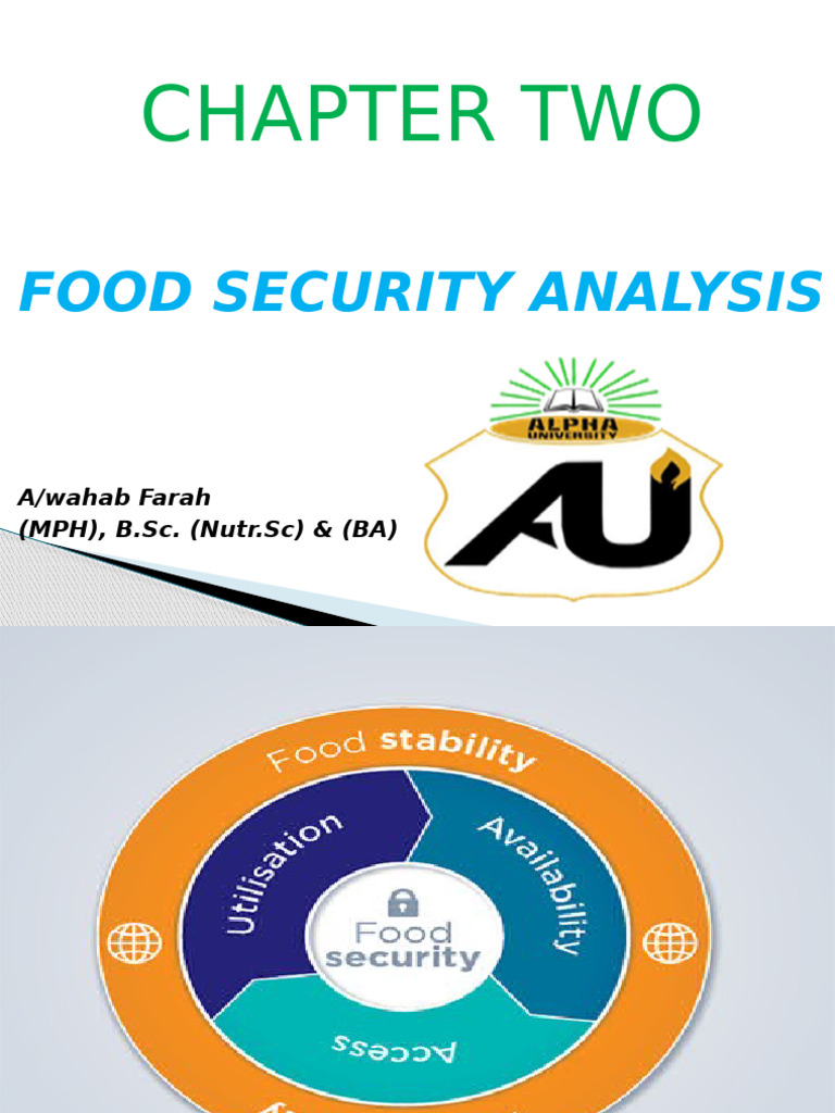 Chapter 2 Food Security Analysis | PDF | Food Security | World Food ...