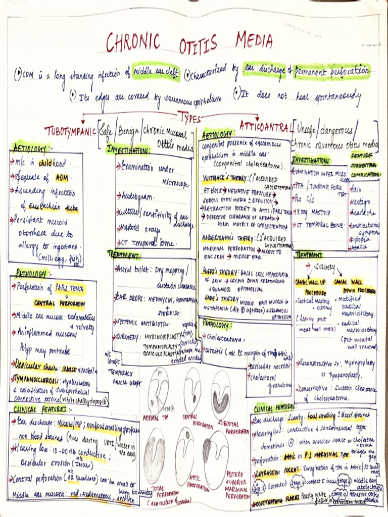 Chronic Otitis Media | PDF
