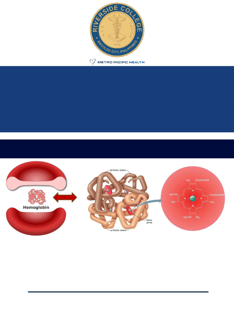 Lec 1 Iron Kinetics and Intro To Red Cell Disorders | PDF | Iron ...