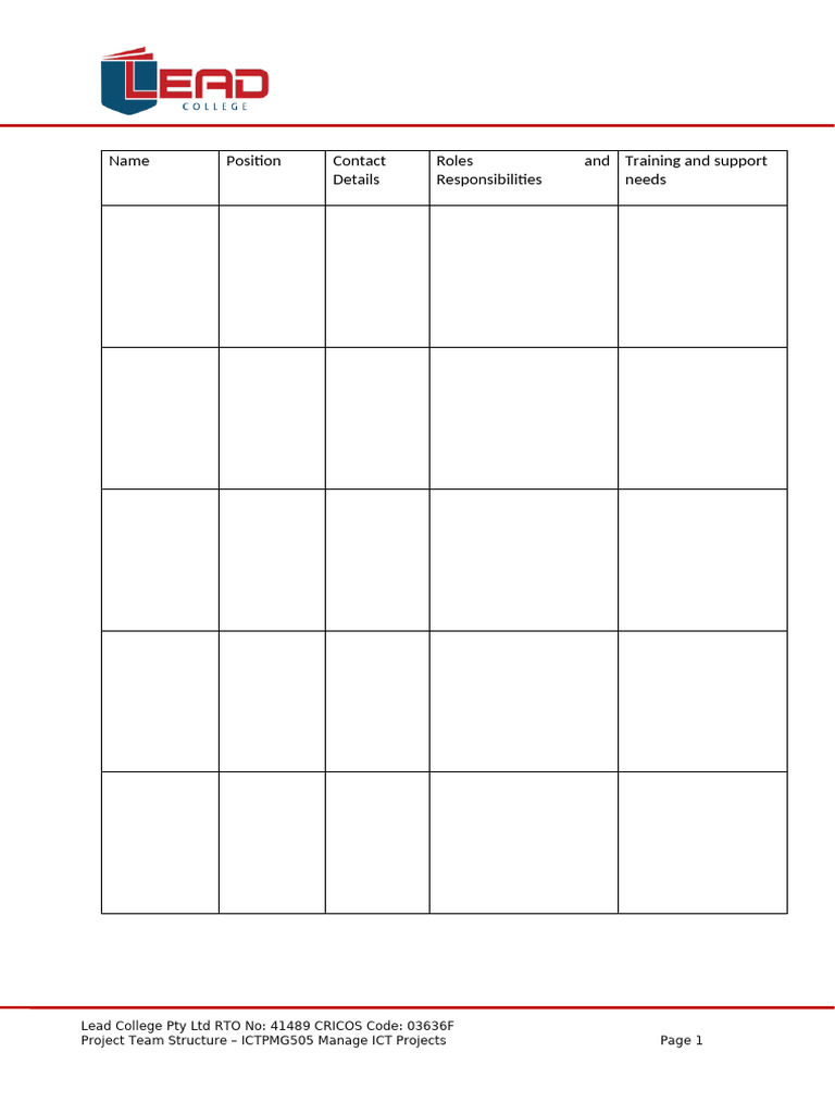 ICT Project Team Structure Guide | PDF
