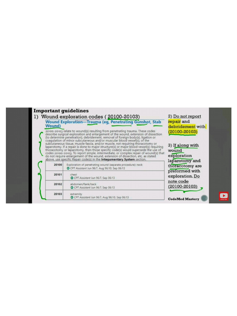 Musculoskeletal System Notes | PDF