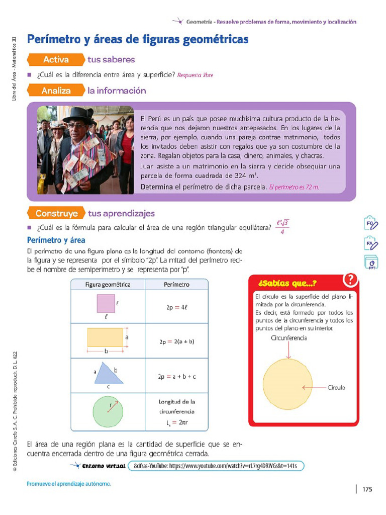 Petrimitro y Areas de Figuras Geometrica | PDF