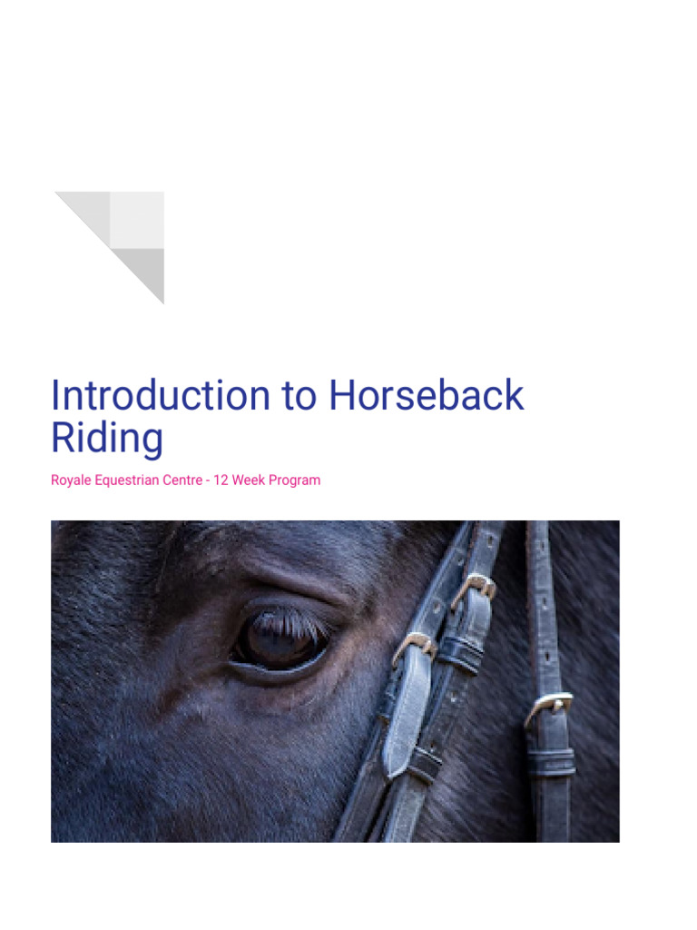 Beginner Horse Riding Program Overview | PDF | Saddle | Horse Gait