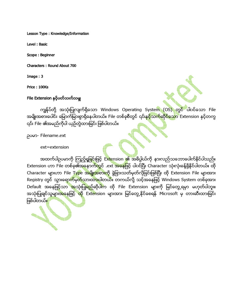 File Extension | PDF