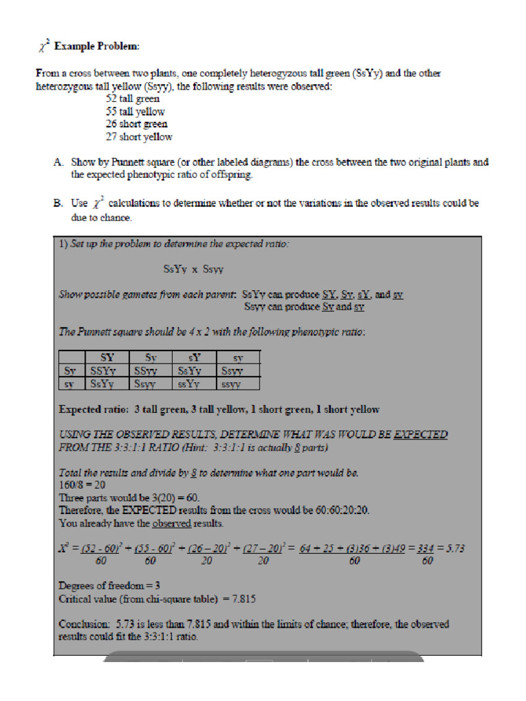 Chi_Square_Practice_packet_blank | PDF | Zygosity | Genetics
