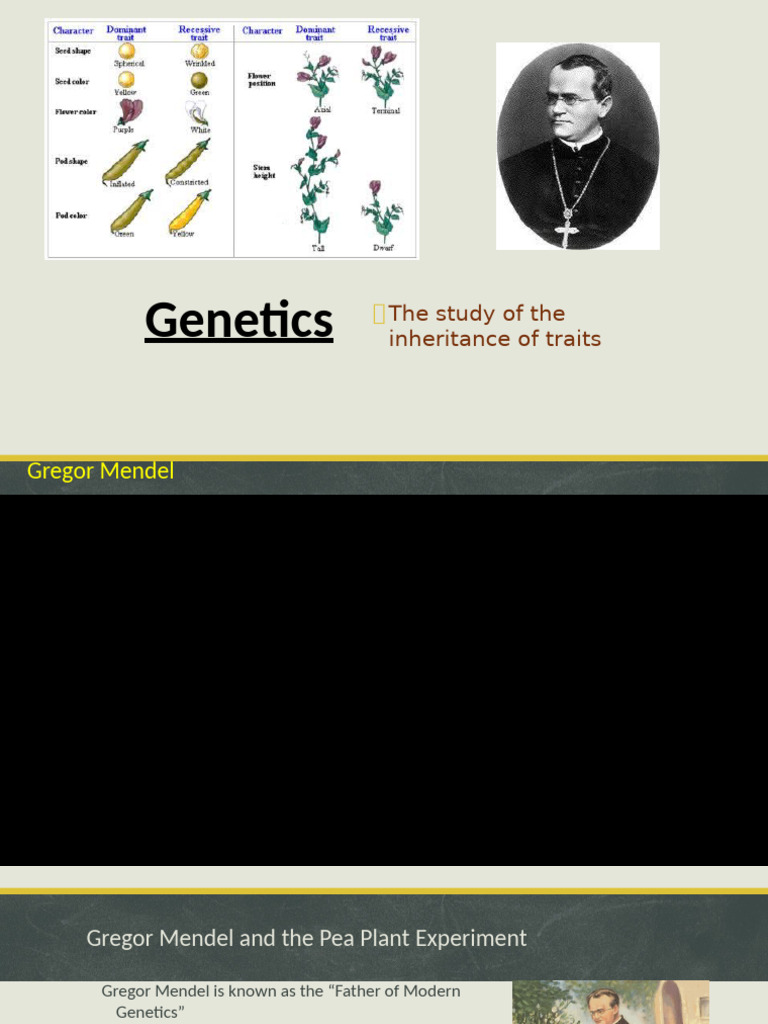 Mendelian and Non-Mendelian Genetics Notes | PDF | Dominance (Genetics ...