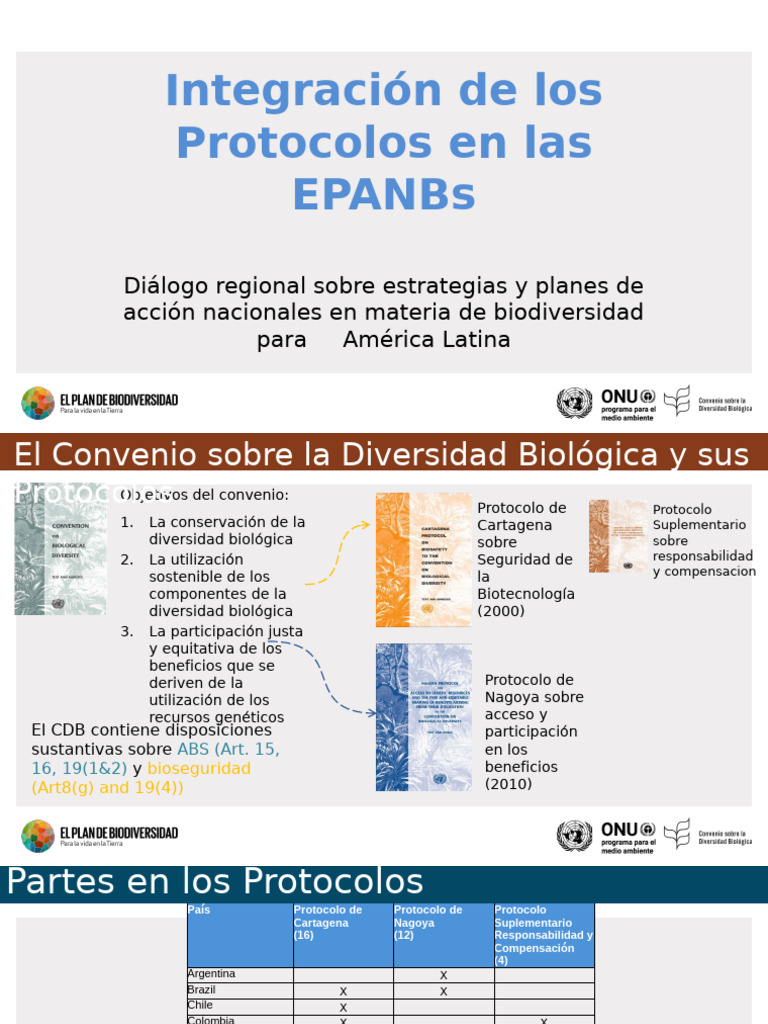 Nbsap Om 2024 04 4b Epanbs SP | PDF