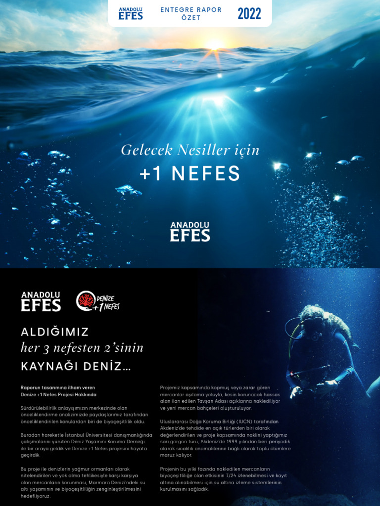 Anadolu Efes 2022 Entegre Rapor Özet | PDF