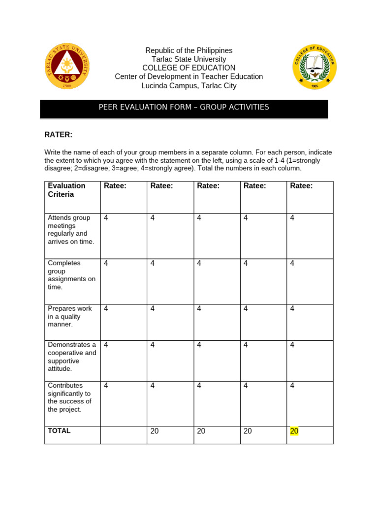 Peer Evaluation Form | PDF