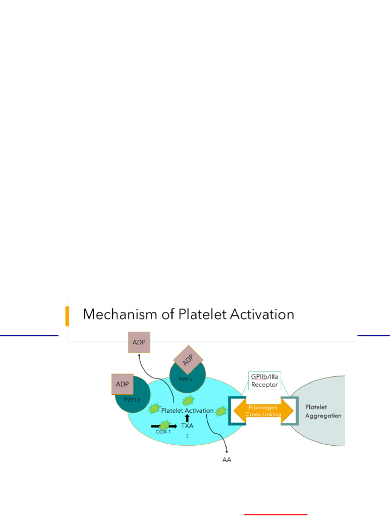 Anticoagulants Antiplatelets StructureBiology | PDF | Coagulation ...