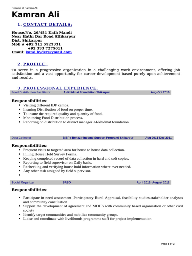 Resume kamran Ali | PDF