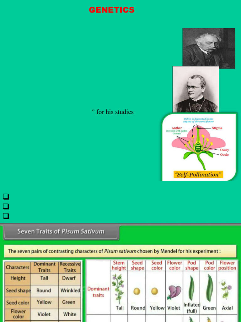 Unit 2_Genetics | PDF | Meiosis | Mitosis