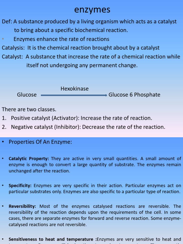 Enzyme and Photosynthesis Basics | PDF | Cellular Respiration | Adenosine Triphosphate