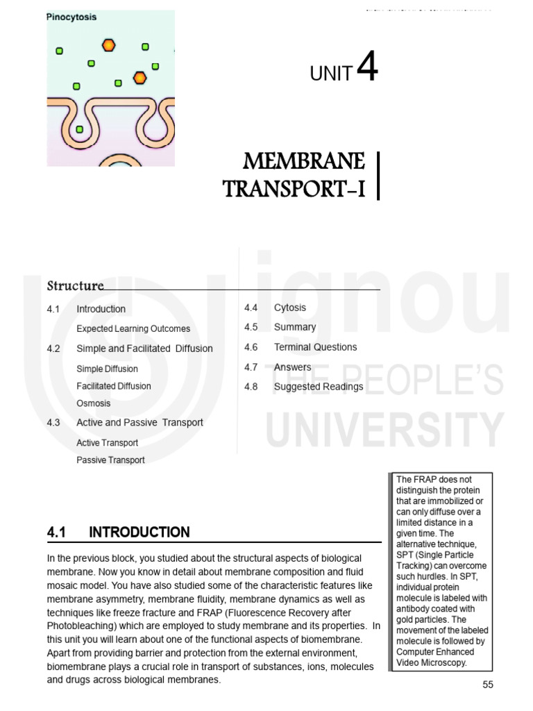 Understanding Membrane Transport Mechanisms | PDF | Cell Membrane ...